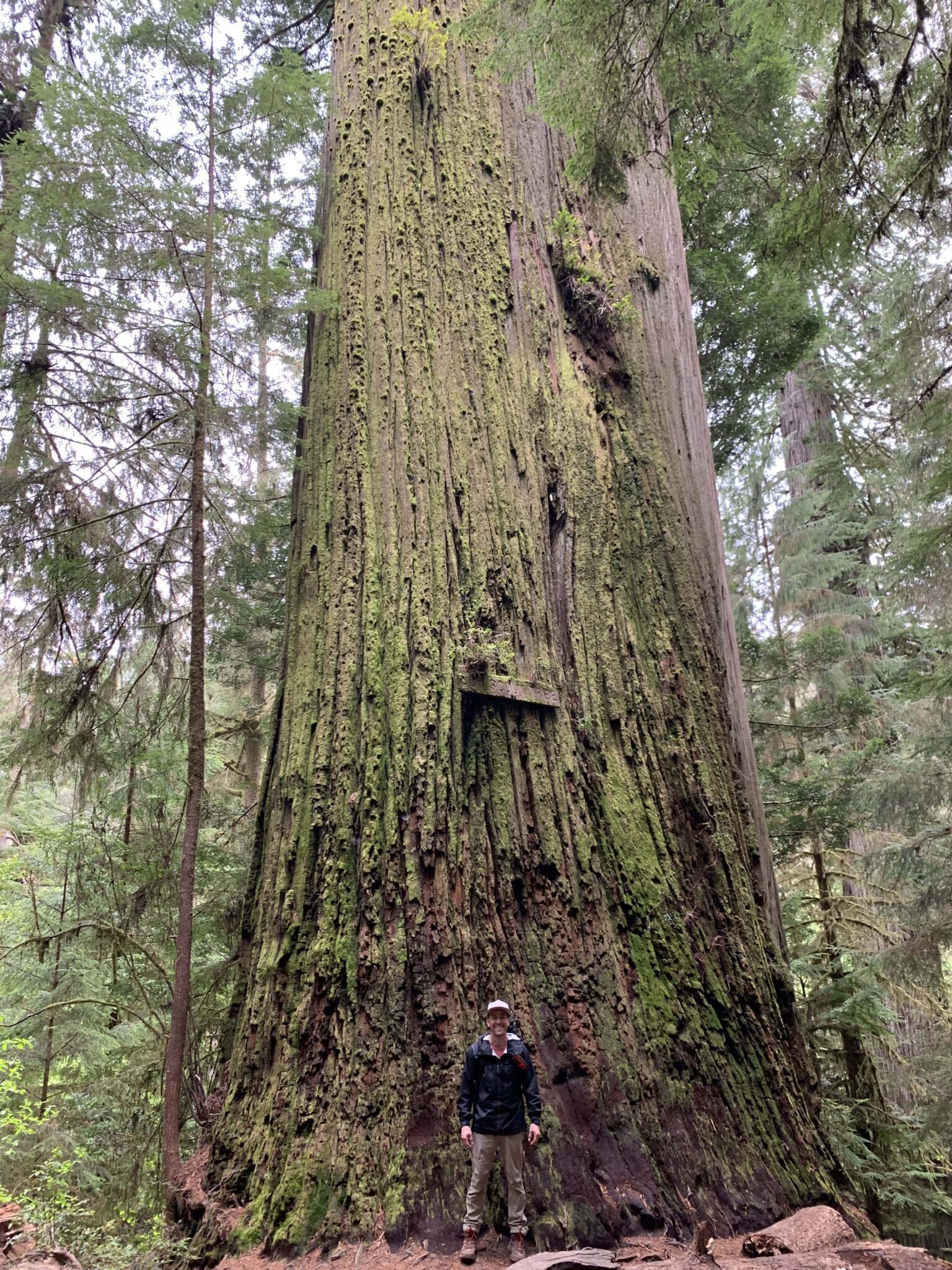 Guide to the Best Camping in Redwood National Park