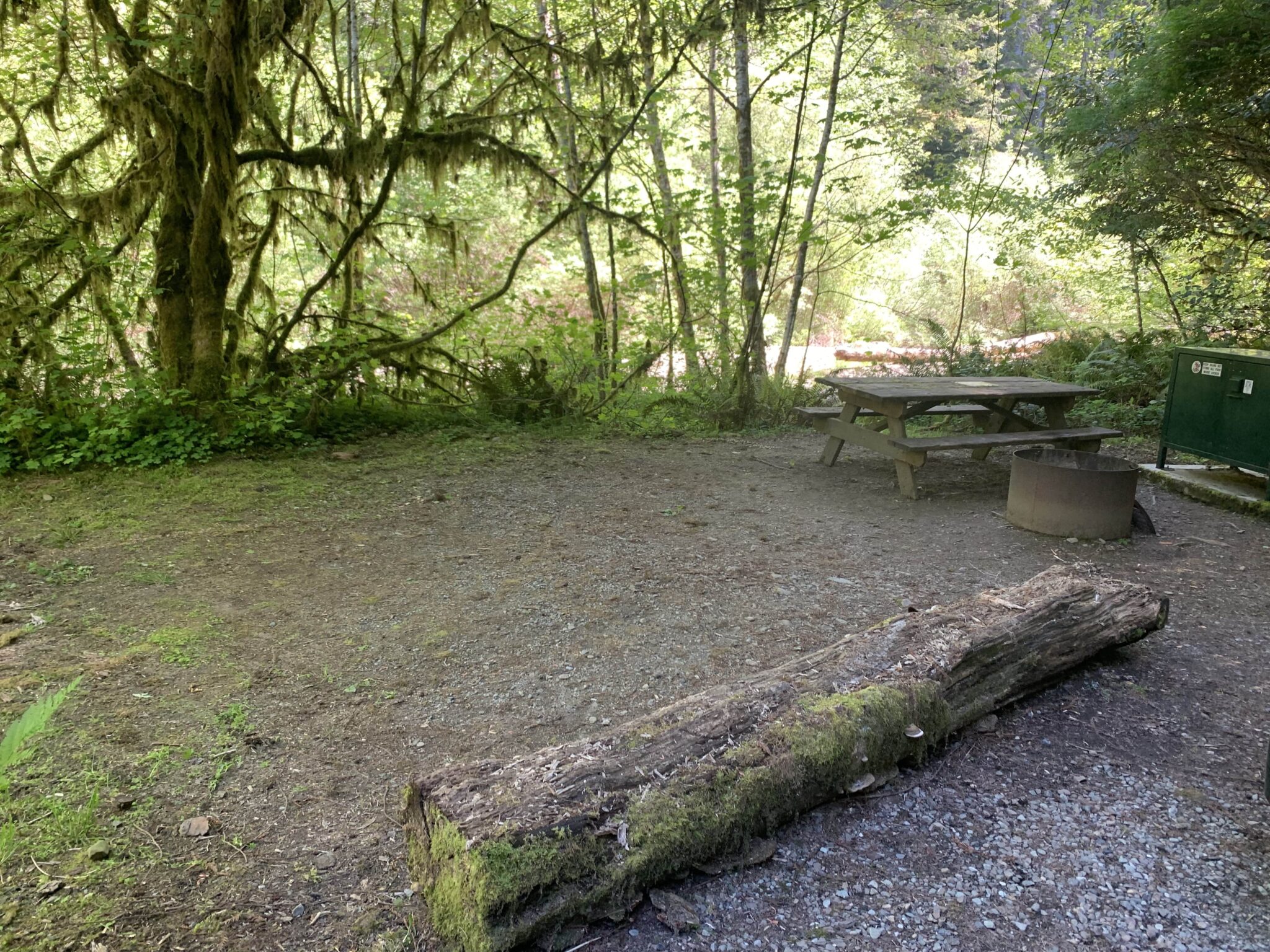 Guide to the Best Camping in Redwood National Park