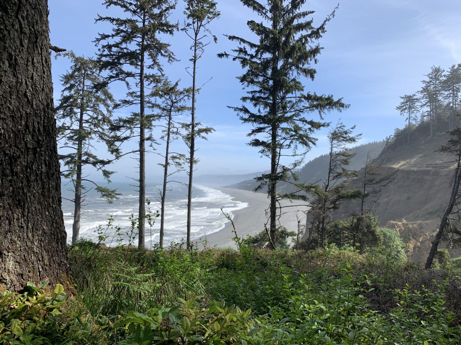 Guide to the Best Hikes in Redwood National Park